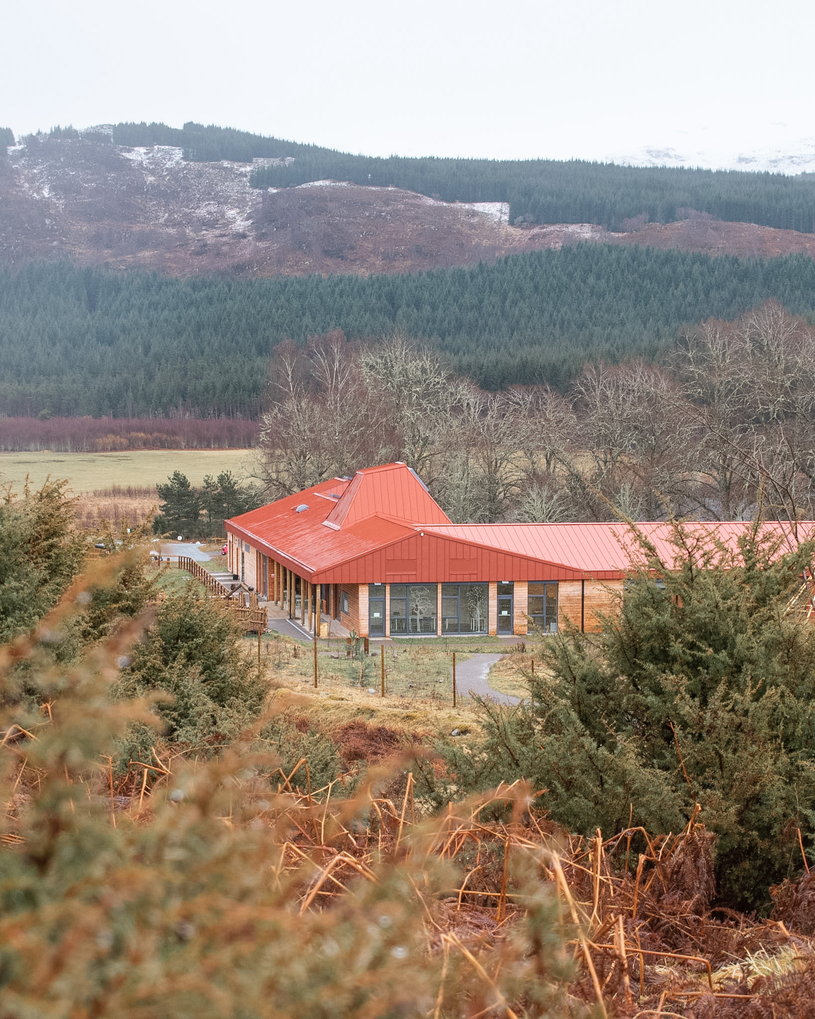 Dundreggan Rewilding Centre Guide | A Unique Stop in the Scottish Highlands